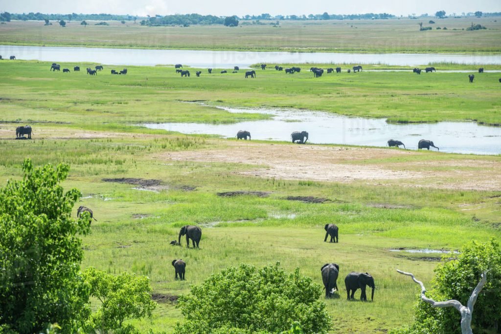 Kasane | Sima Safari