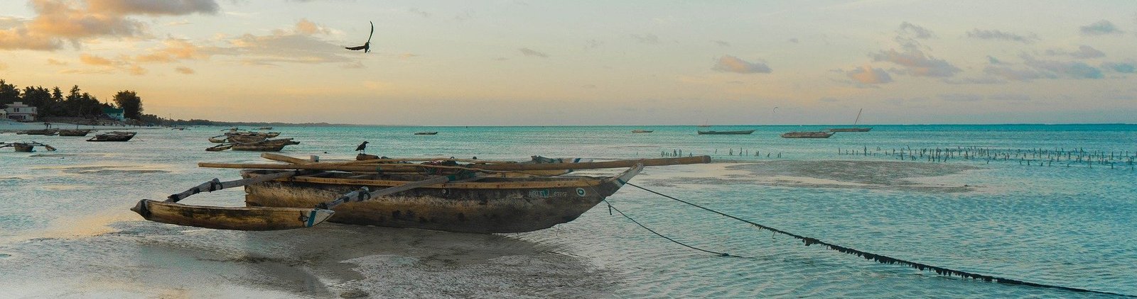 Spice Farm or Josani Park, Island of Prisoners and Stone Town Tour