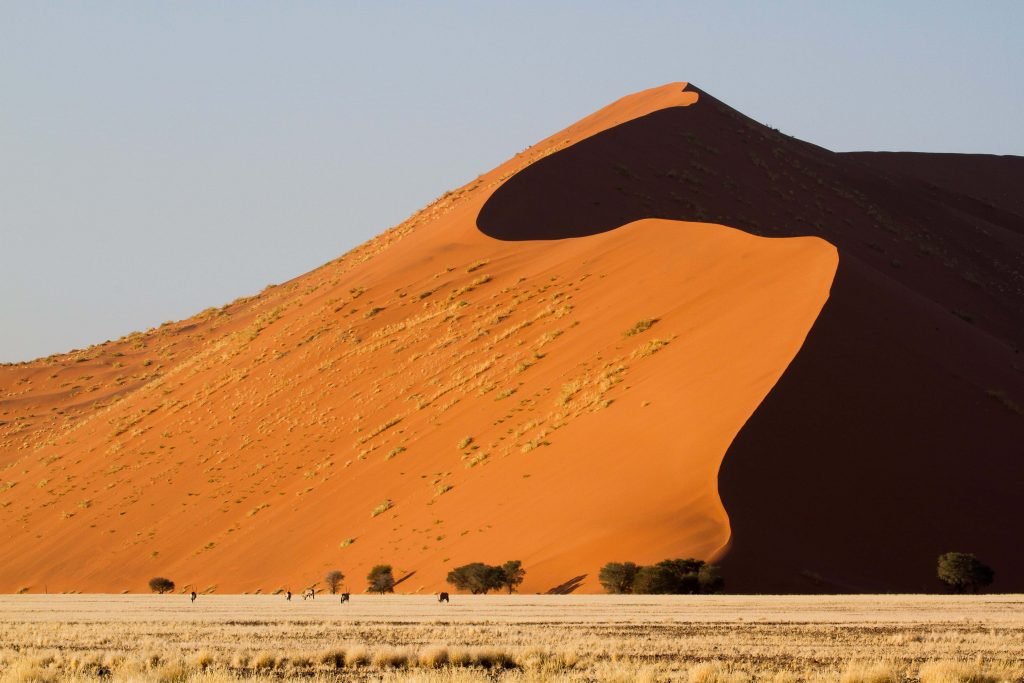 Travelling in the Deserts of Namibia | Sima Safari