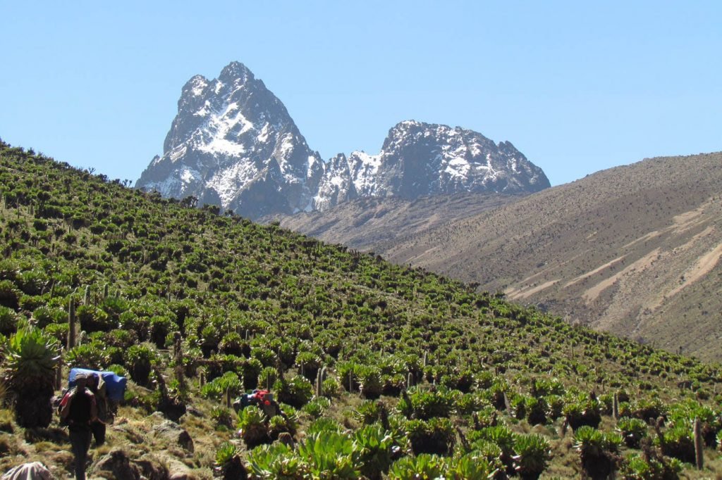 6 DAYS MOUNT KENYA TREK | Sima Safari
